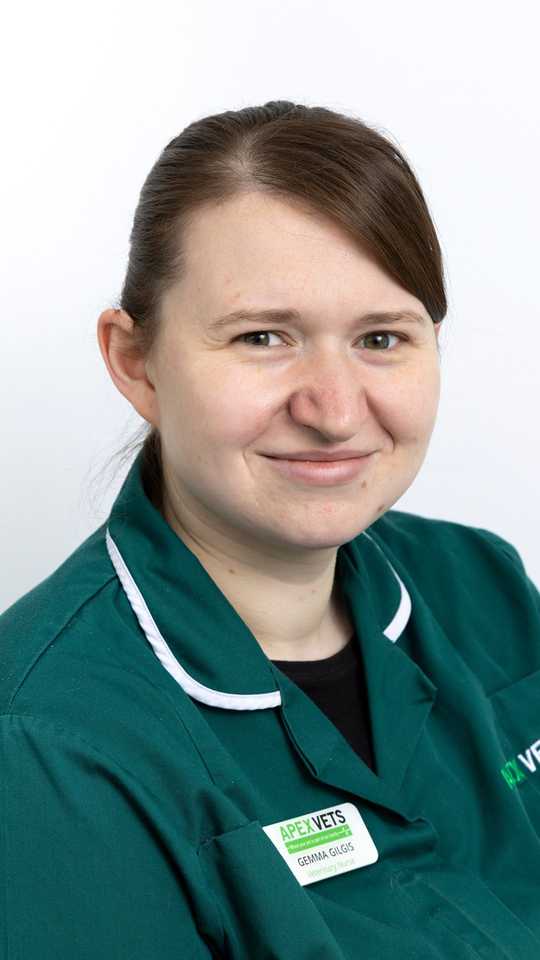 Meet Our Nurses | Qualified Vet Nurses | Apex Vets in Denny